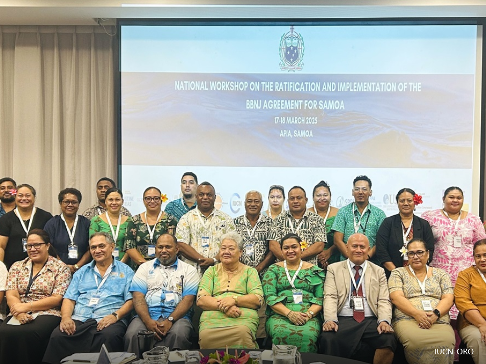 Government of Samoa Hosts National Workshop on the Ratification and Implementation of the BBNJ ...